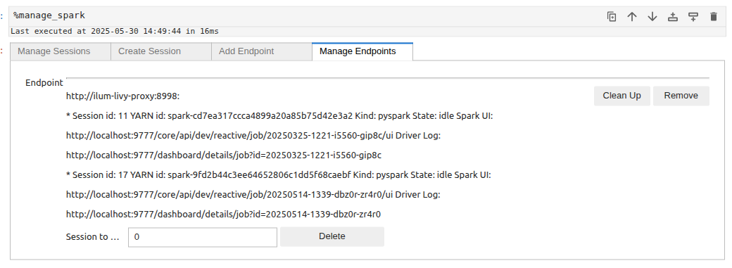 How to Use Notebooks in Ilum | Ilum Documentation - Managed Spark Cluster